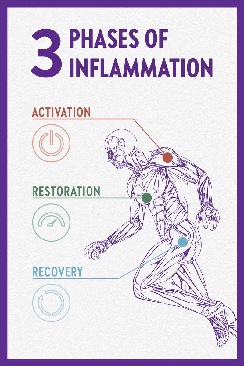 What Is Inflammation? - Nutrition Smart | Organic Grocery, Vitamins and ...